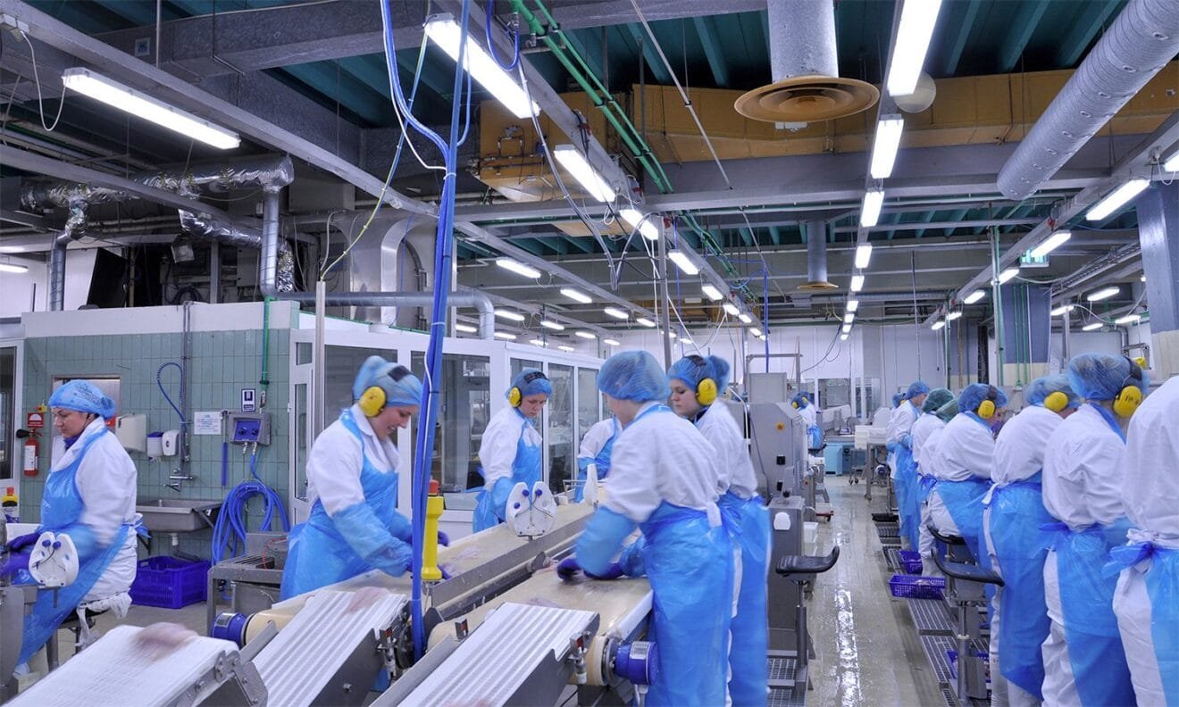 Fish Factory Worker - Prabesh Group