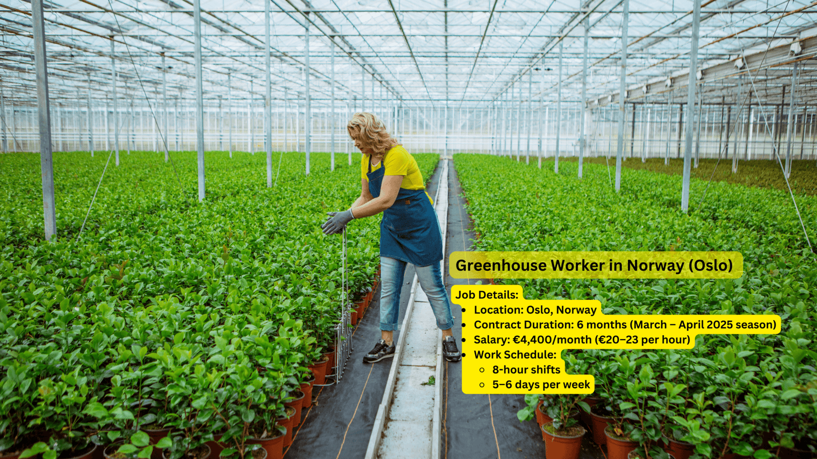 Greenhouse Worker Job in Norway - Prabesh Group